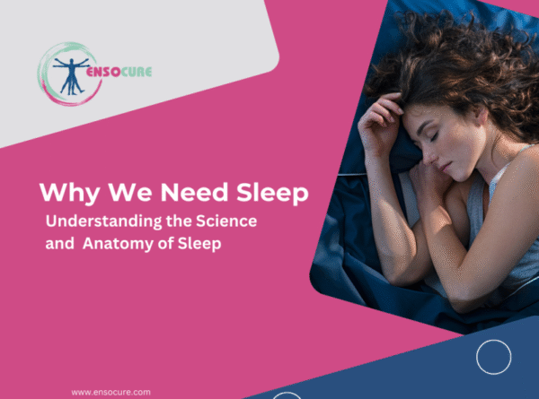 Why We Need Sleep: Understanding the Science and Anatomy of Sleep ...