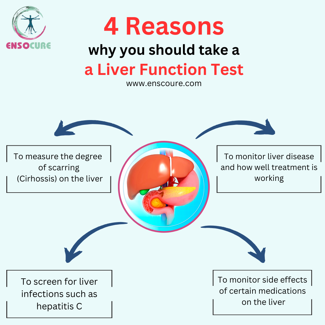 Liver Function Test: Understanding and Reading Parameters of an LFT ...